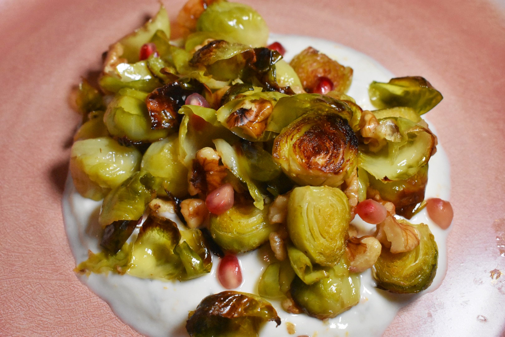 Roasted Brussel Sprouts with Walnuts, Pomegranate and Citrus Yogurt ...